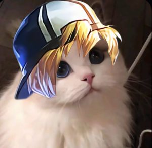 100+ Foto PP Kucing Lucu, Meme, Couple dan Aesthetic