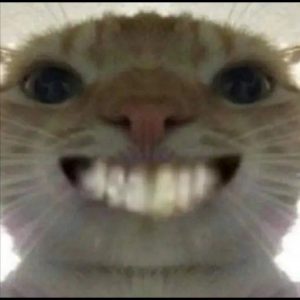 Kumpulan PP Meme Untuk WA Paling Lucu Bikin Ngakak