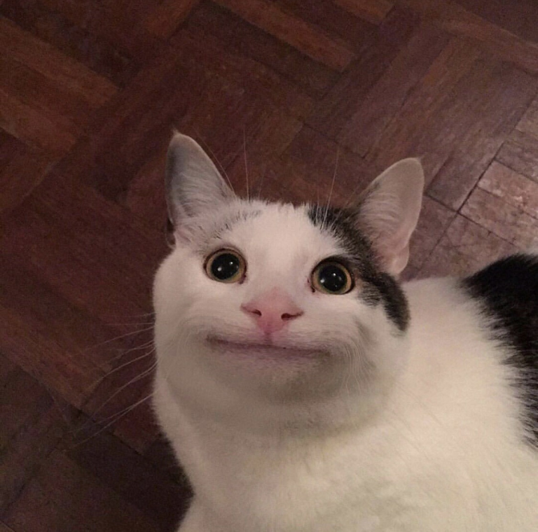 Kumpulan PP Meme Untuk WA Paling Lucu Bikin Ngakak 2023