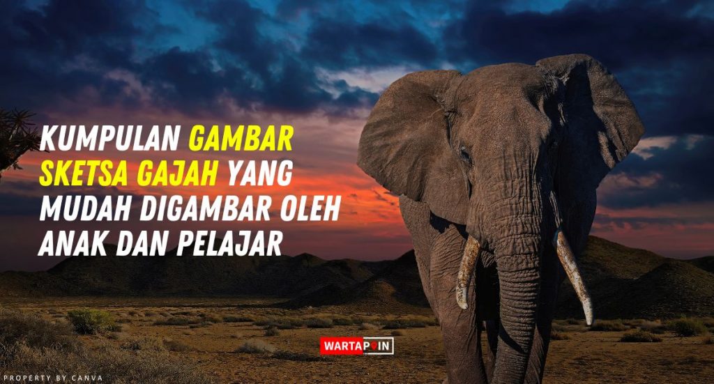 Kumpulan Gambar Sketsa Gajah yang Mudah Digambar Anak
