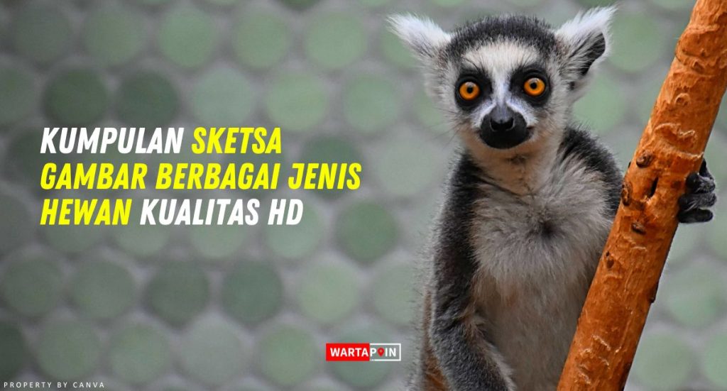 Kumpulan Sketsa Gambar Hewan Berbagai Jenis Kualitas HD