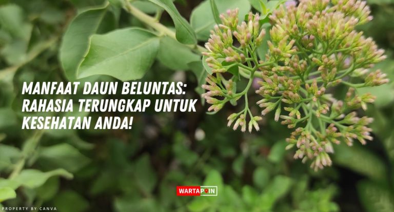 Manfaat Daun Beluntas: Rahasia Terungkap untuk Kesehatan Anda!