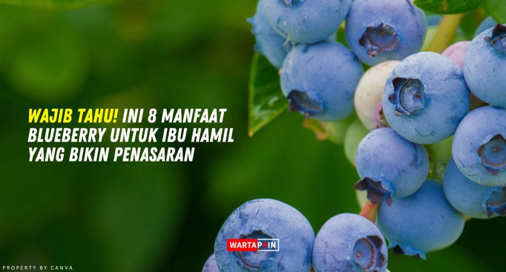 Wajib Tahu! Ini 8 Manfaat Blueberry untuk Ibu Hamil yang Bikin Penasaran