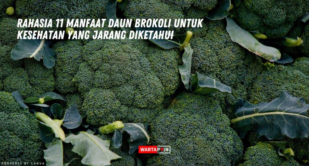 Rahasia 11 Manfaat Daun Brokoli untuk Kesehatan yang Jarang Diketahui