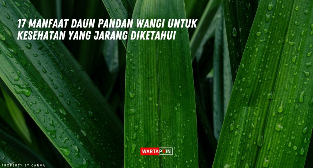 17 Manfaat Daun Pandan Wangi Untuk Kesehatan yang Jarang Diketahui