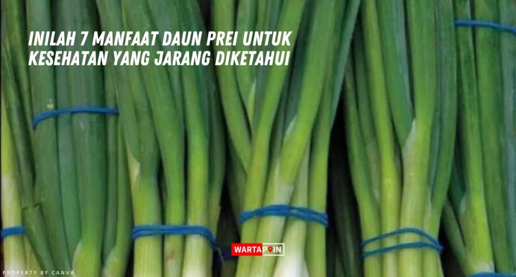 Inilah 7 Manfaat Daun Prei untuk Kesehatan yang Jarang Diketahui